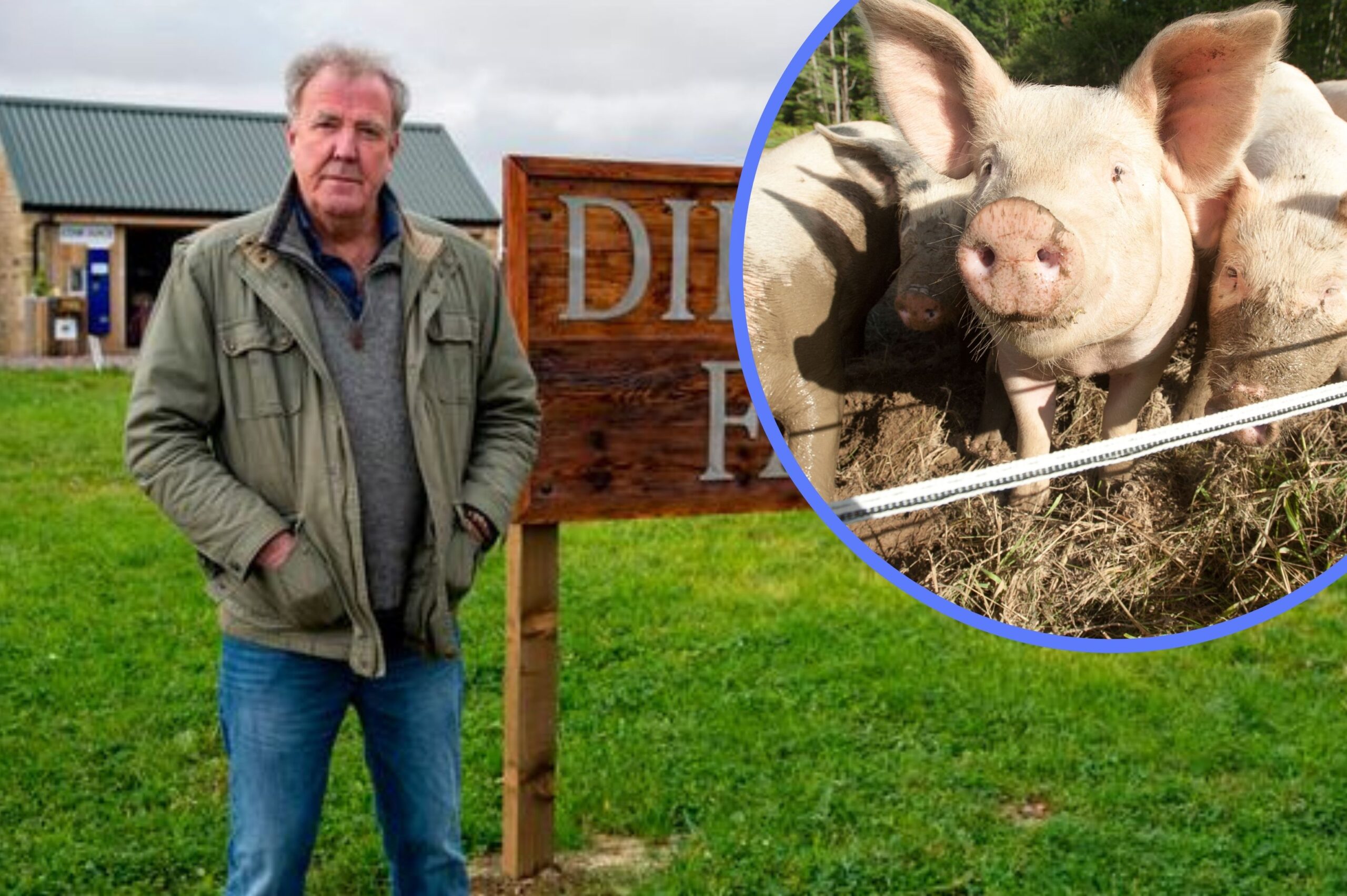 Jeremy Clarkson's turmoil over sending animals to slaughter